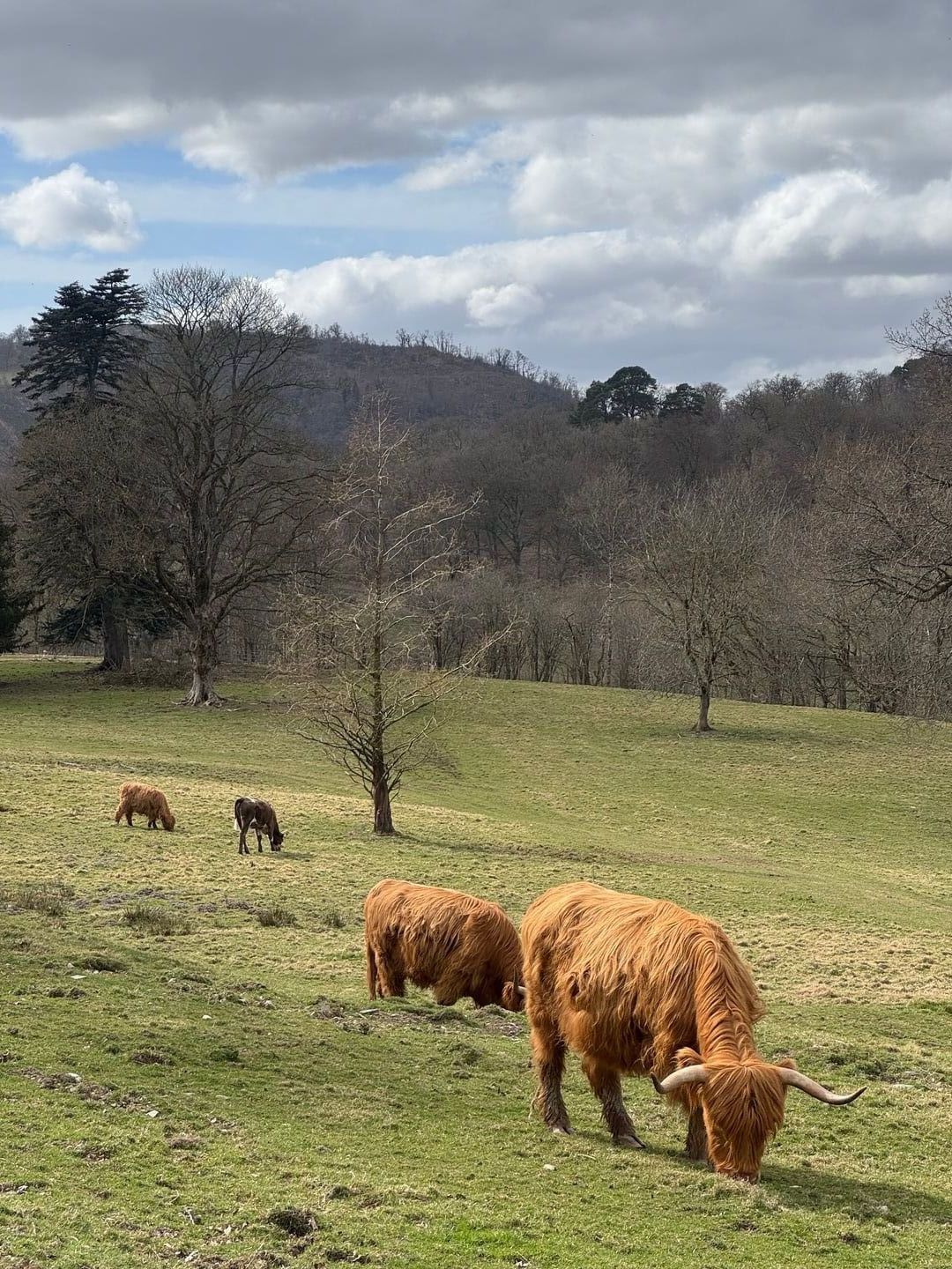 Palé Hall - Luxury Country House Hotel